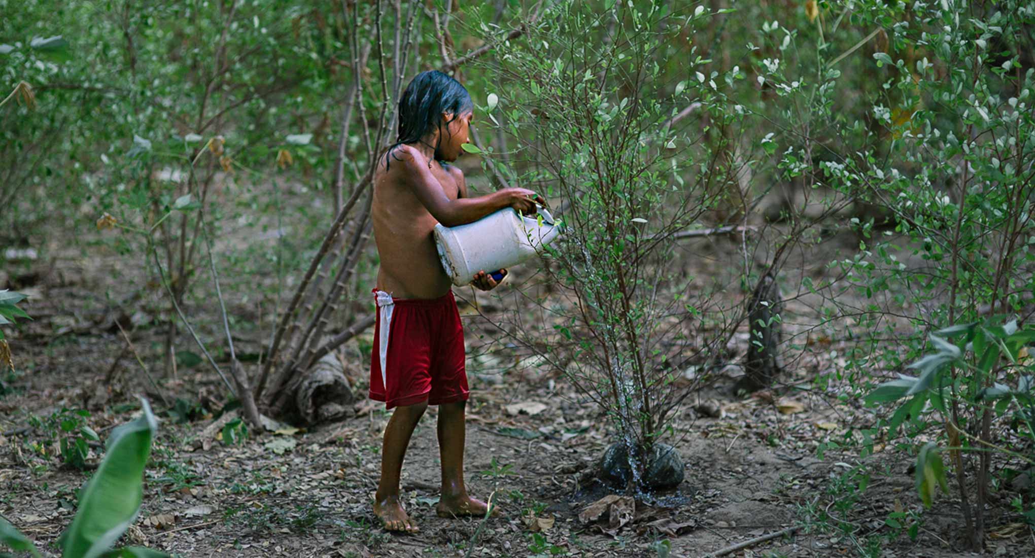 Proyectos de tratamiento del agua | Experience ACCIONA